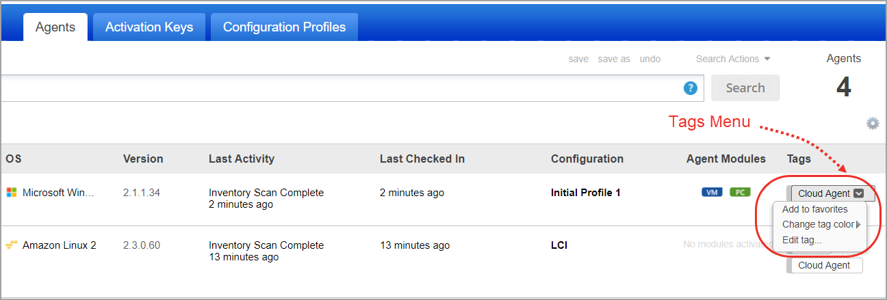 Manage Tags in Cloud Agent
